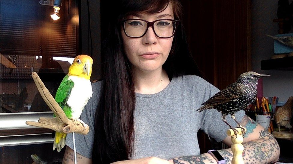 The women who are killing it in taxidermy - BBC News