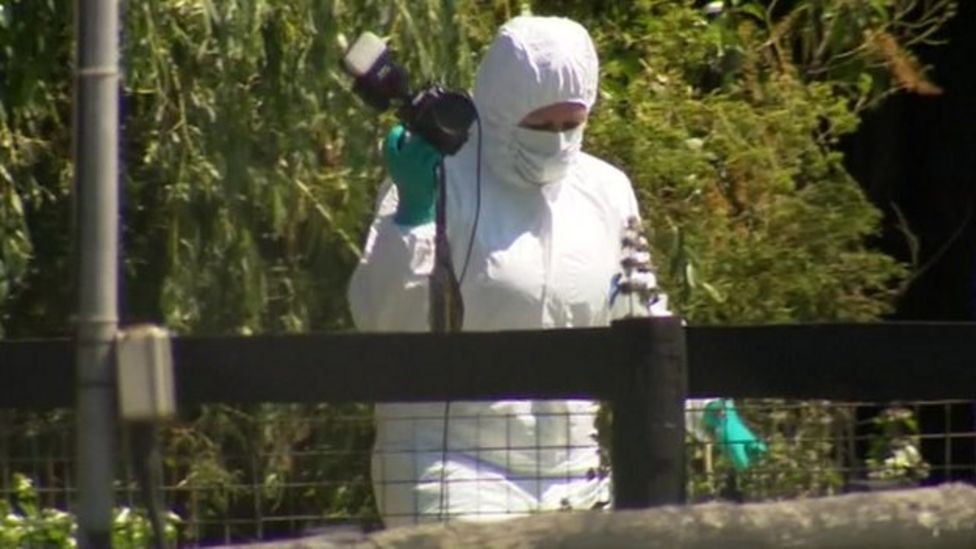 Woman killed near Pitsea horse sanctuary: Man on murder charge - BBC News