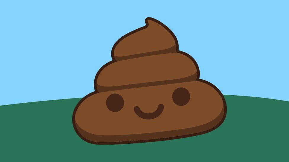 MooLoo: Cows in Germany potty trained to help the planet - BBC Newsround