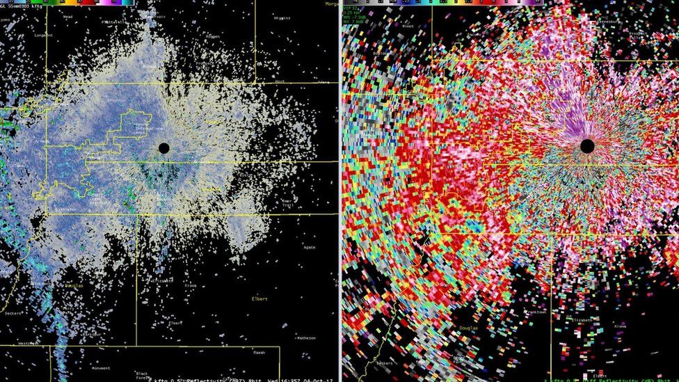 Butterfly swarm shows up on Denver radar system - BBC News