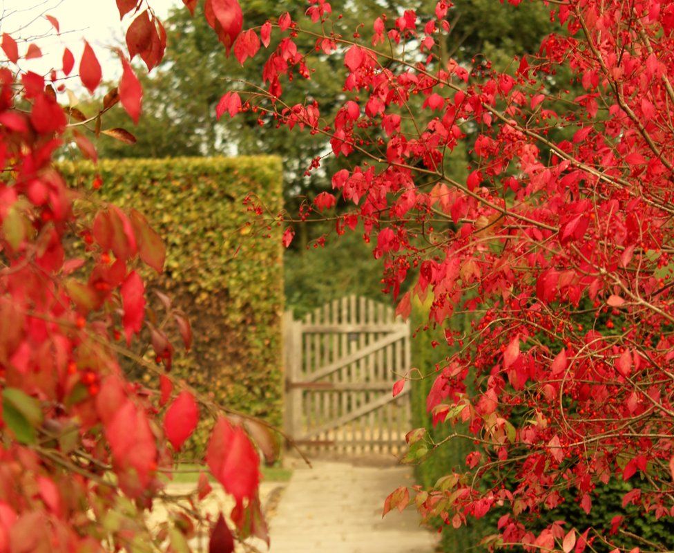 England's Big Picture: 17 - 23 October - BBC News