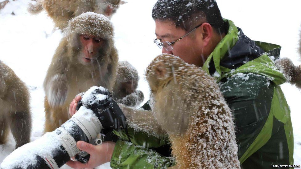 World weather photos - BBC Weather