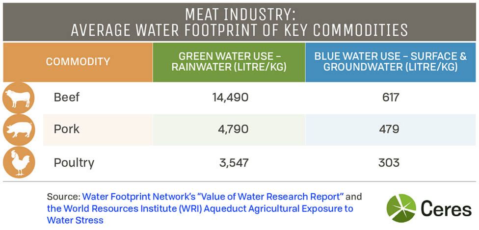 Fast food giants under fire on climate and water usage - BBC News