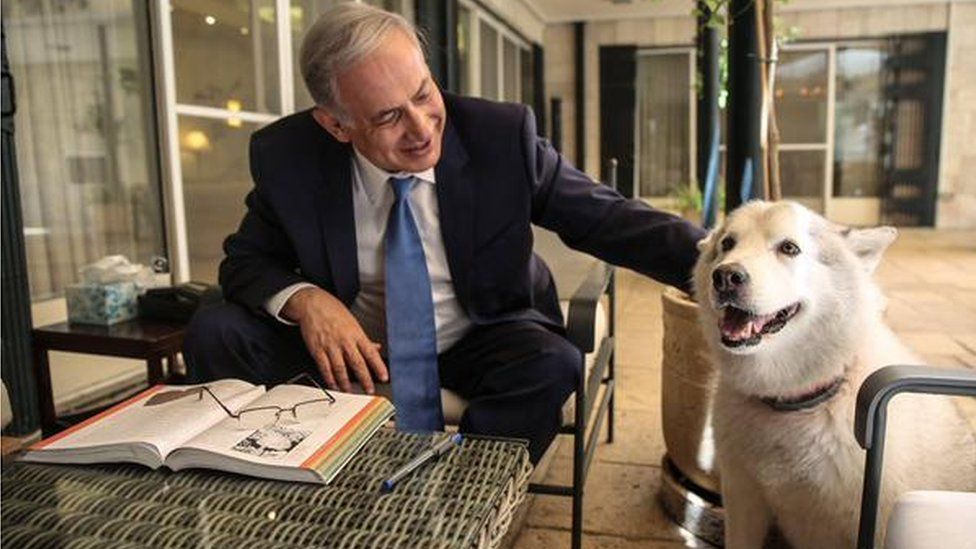 Benjamin Netanyahu's dog Kaiya bites visitors - BBC News