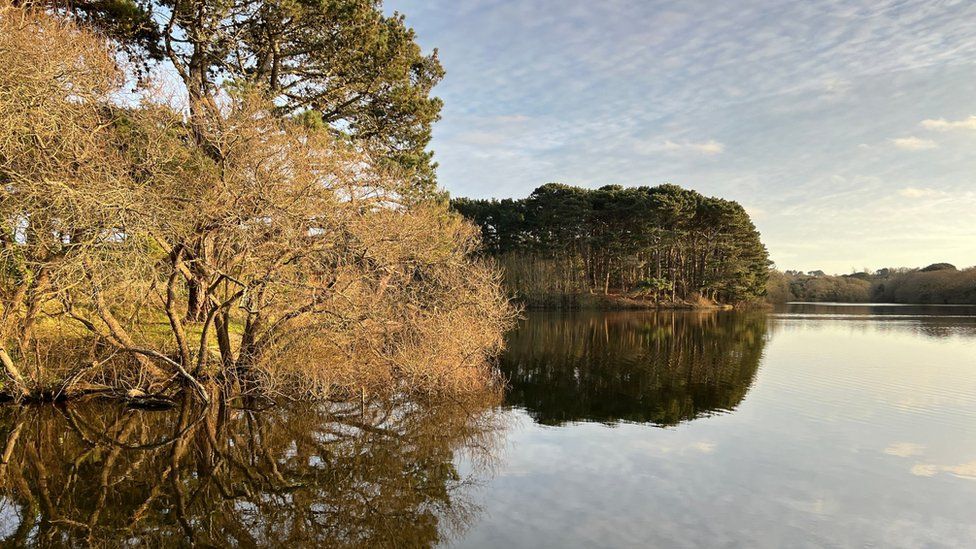 Guernsey reservoir nature trail reopens after storm damage - BBC News