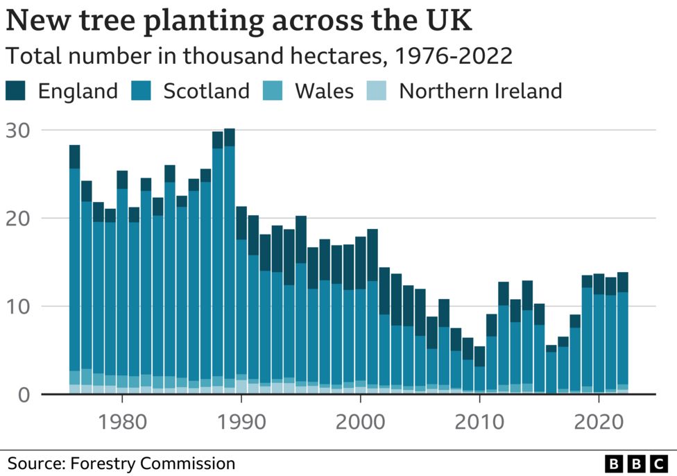 Climate change: Is the UK on track to meet its net zero targets? - BBC News