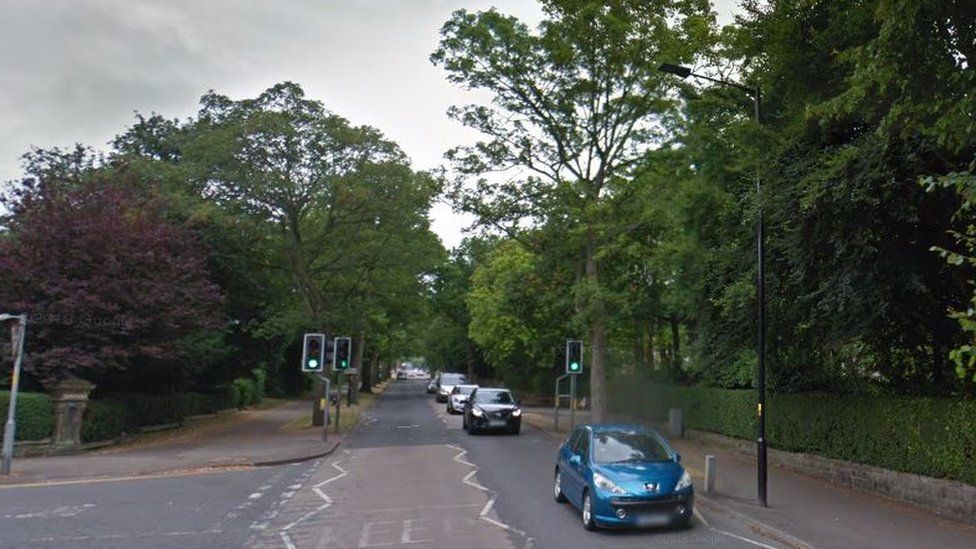 Harrogate cycle lane: Plan approved for Stray - BBC News