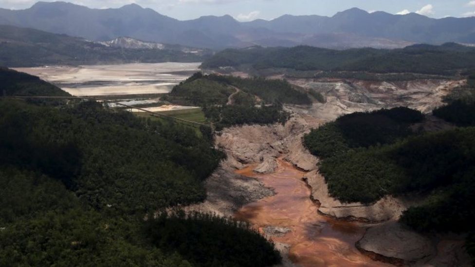 Brazil dam breach: Toxic mud 'devastated vegetation' - BBC News