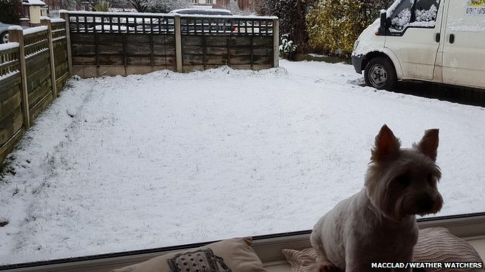 Gallery: Northern snow - BBC Weather