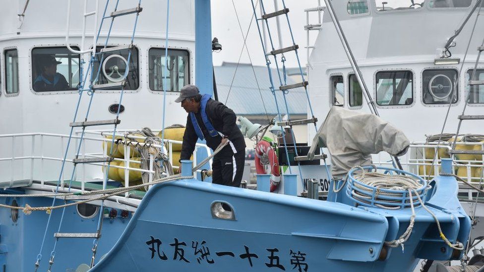 What is whaling and why's it controversial? - BBC Newsround