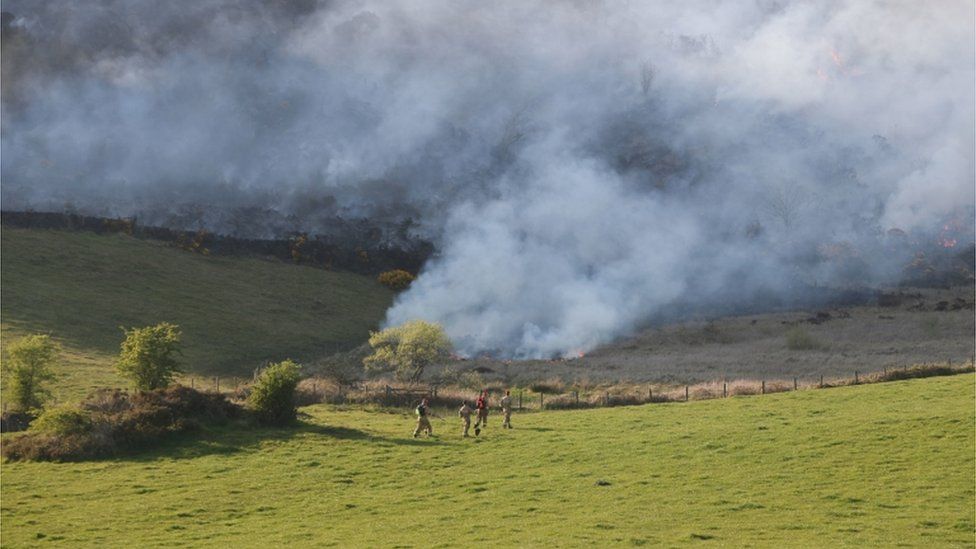 Firefighters tackling 'significant' gorse fire in Newry - BBC News