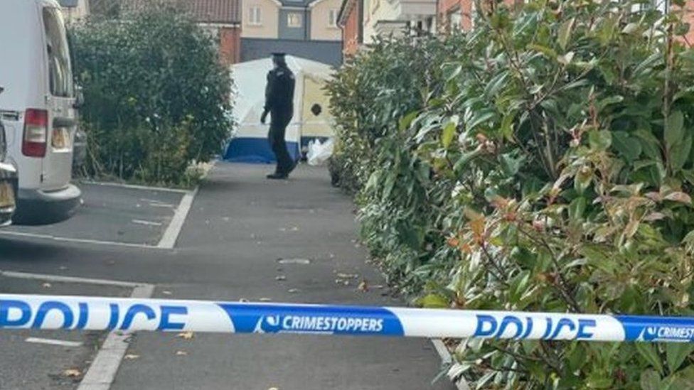 Man released over deaths of Jennifer and Stephen Chapple - BBC News