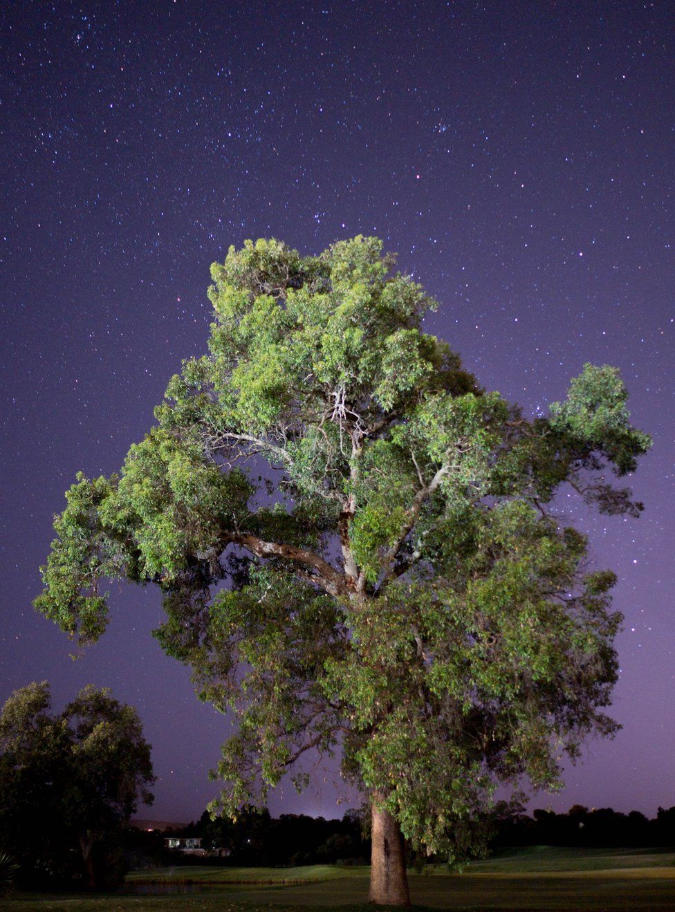 Your pictures: Nights out - BBC News