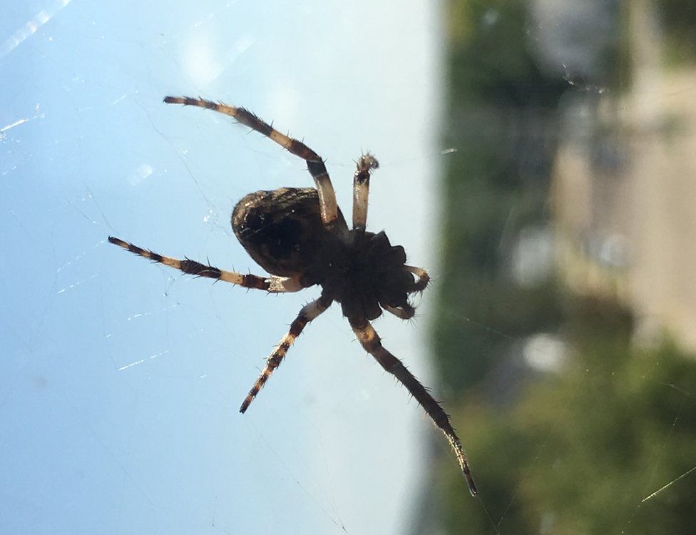 Your pictures on the theme of 'broken' - BBC News