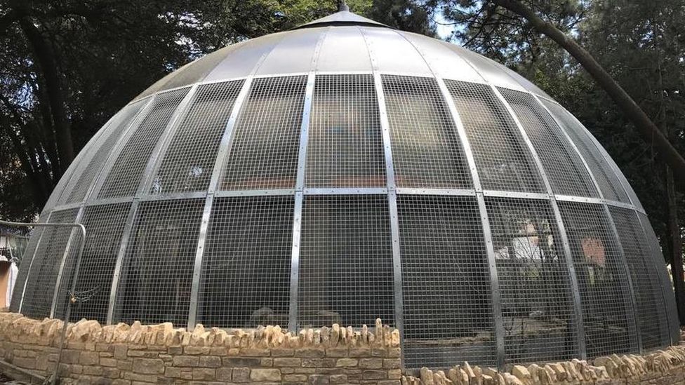 New Bournemouth aviary opens after 20-year wait - BBC News