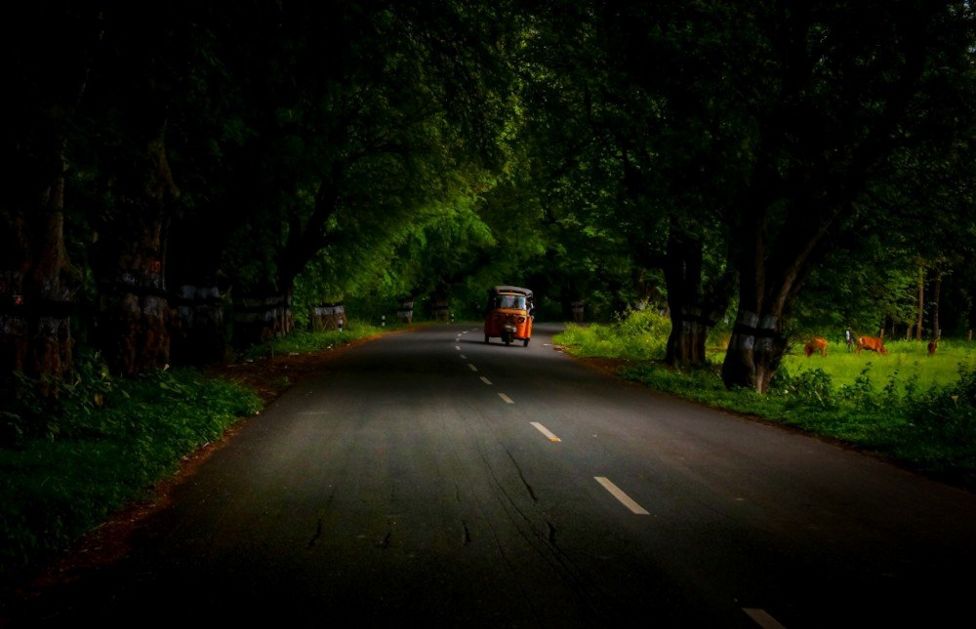 Your pictures on the theme of 'open road' - BBC News