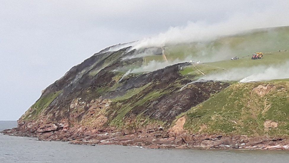 Fire damage to St Bees wildlife 'devastating' - BBC News