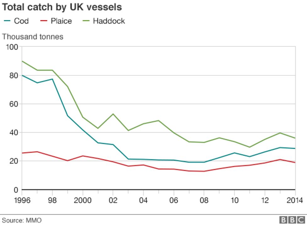 North Sea cod back on the menu, marine body says - BBC News