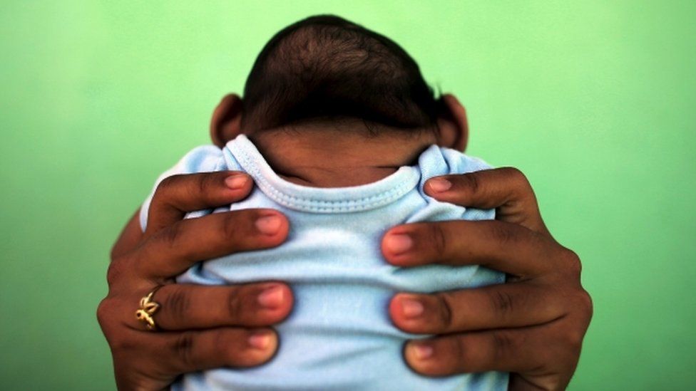 Zika therapy 'works in the womb' - BBC News