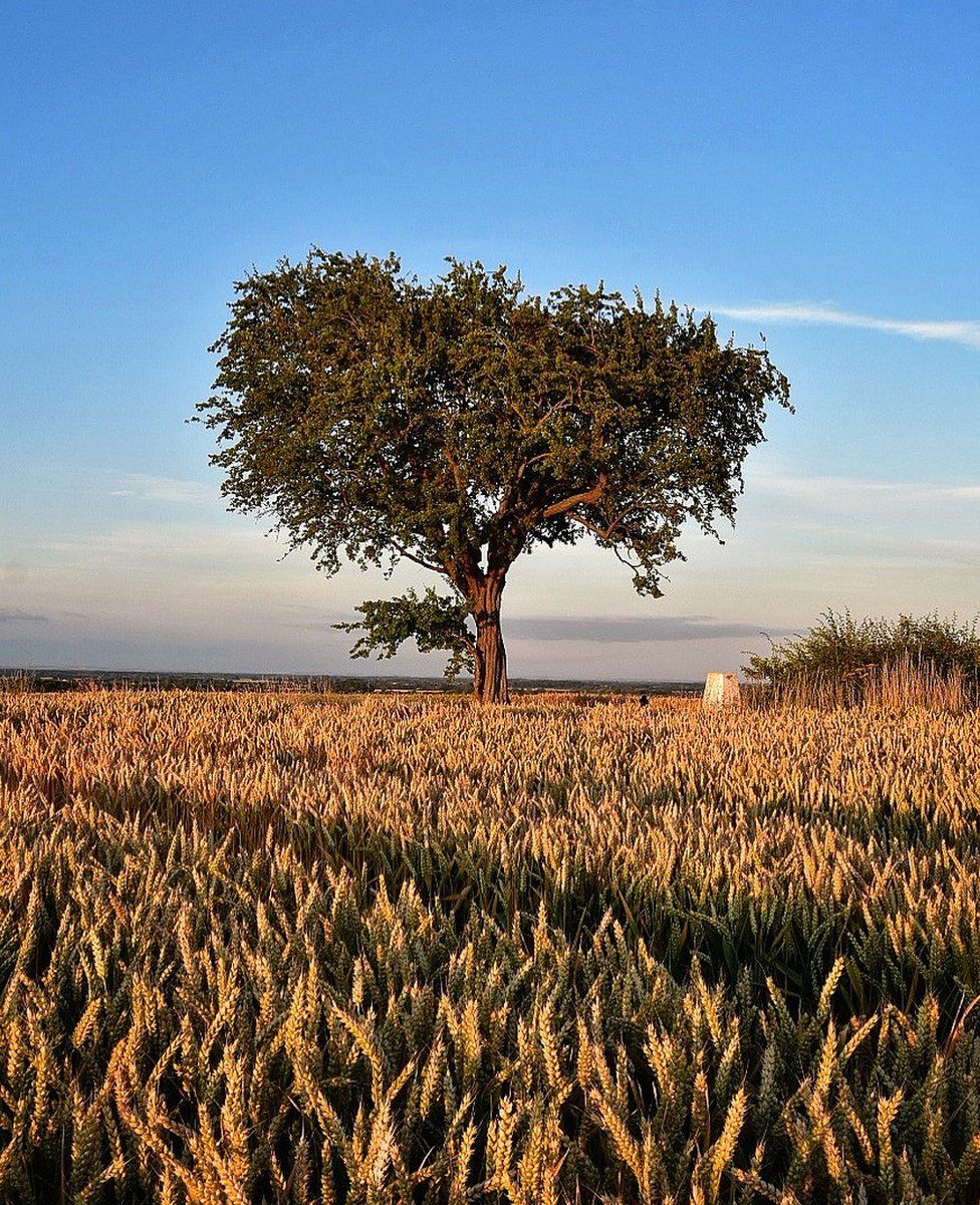 England's Big Picture: 18 July - 24 July 2022 - BBC News