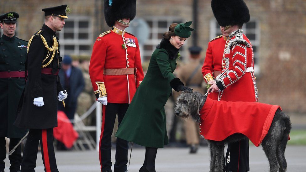 William and Kate brave snowy St Patrick's Day parade - BBC News