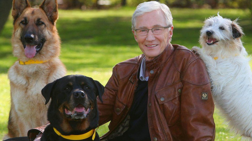 Alison Hammond to host ITV's For the Love of Dogs after Paul O'Grady's ...