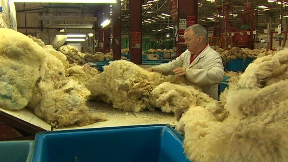 Diogelu dyfodol melin wlân hanesyddol yn Nyffryn Teifi - BBC Cymru Fyw