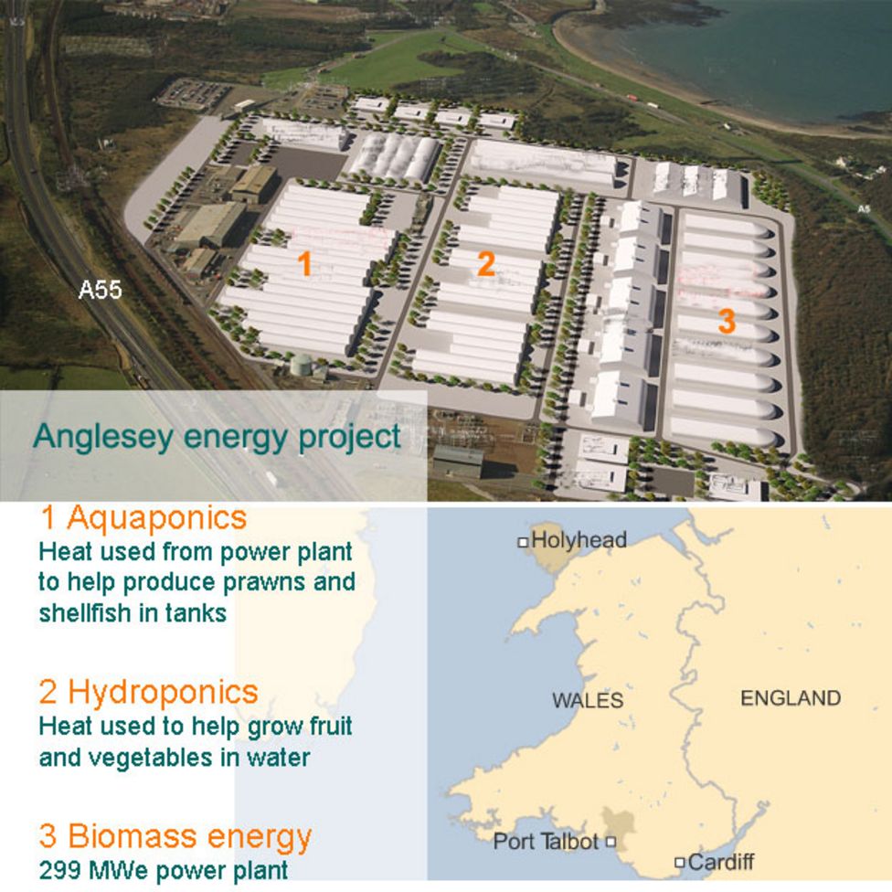 Q&A: What is biomass? - BBC News