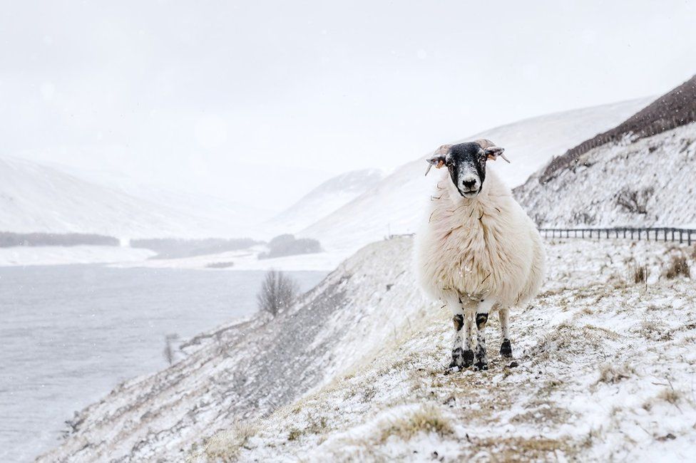 Megget Reservoir: The valley quenching Edinburgh's thirst - BBC News