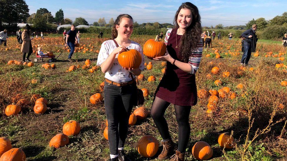 Halloween: Pumpkin pickers enjoy bumper crop - BBC News