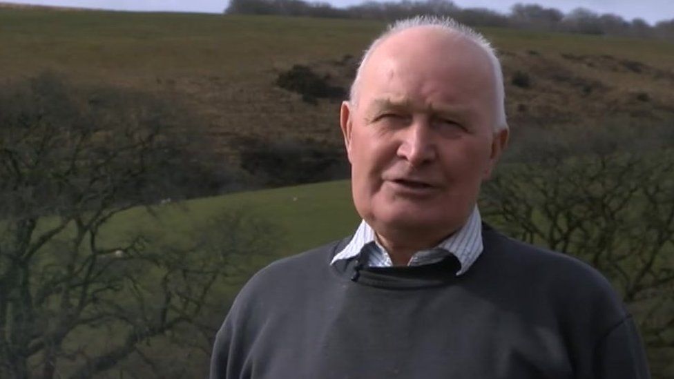 City foxes blamed for attacking lambs on moors - BBC News