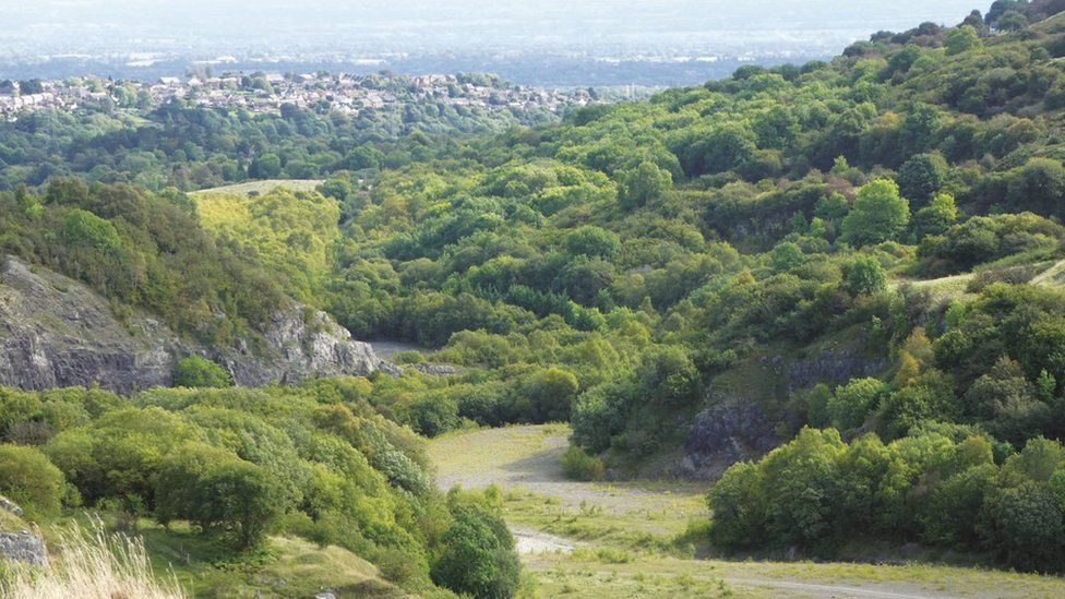 Minera quarry in Wrexham opens as nature reserve - BBC News