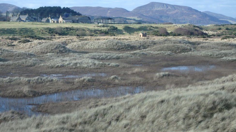 Nature agency's concerns over new Coul Links golf course - BBC News
