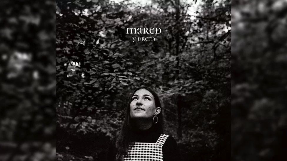 Ateb y Galw: Mared Williams - BBC Cymru Fyw