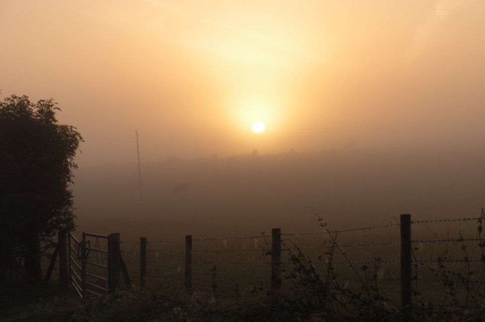 Your pictures: Autumnal - BBC News