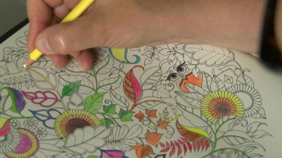 Adult colouring book brings Millie Marotta top 10 success - BBC News