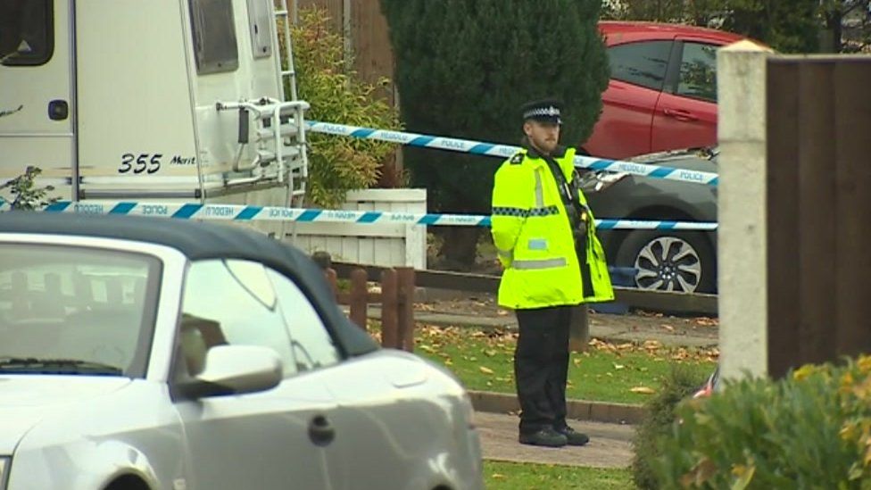 Teresa Garner death: Hammer murder accused 'violent to exes' - BBC News