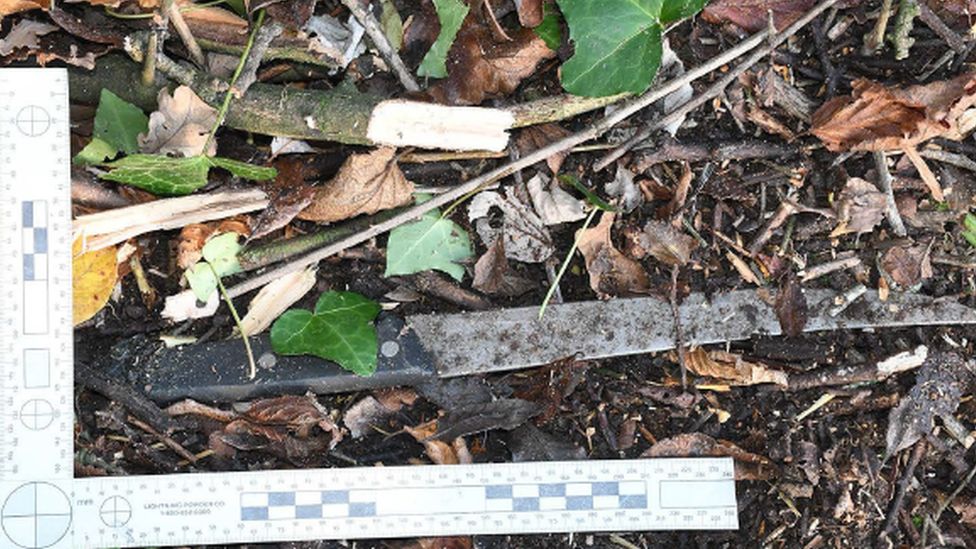 Two guilty of drug addict Anthony Winter's manslaughter - BBC News