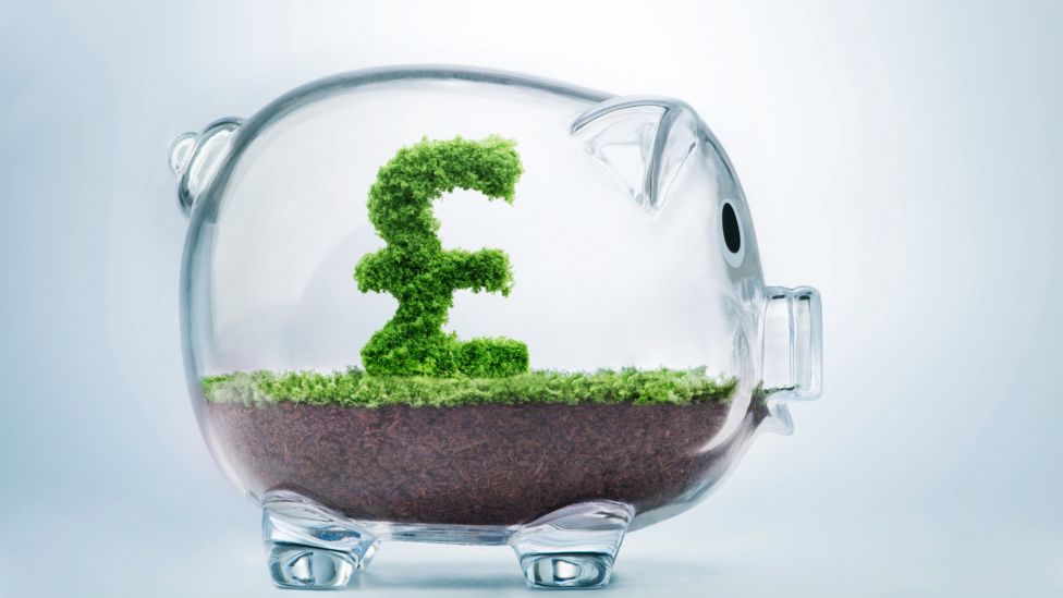 Why the world's biggest investor backs the simplest investment - BBC News