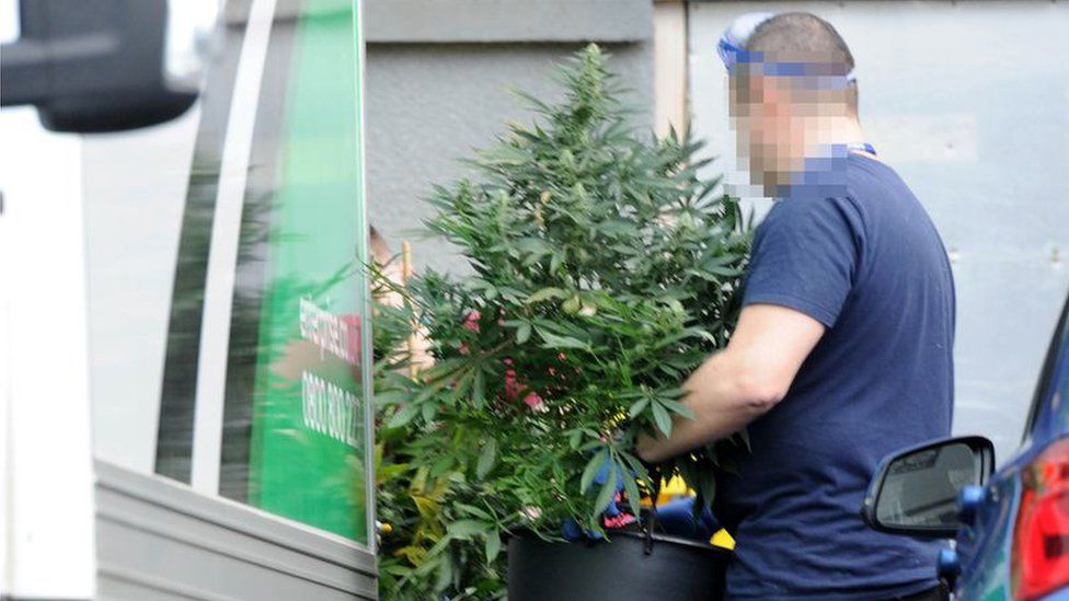 Workers at 'sophisticated' cannabis factory in Paisley jailed - BBC News