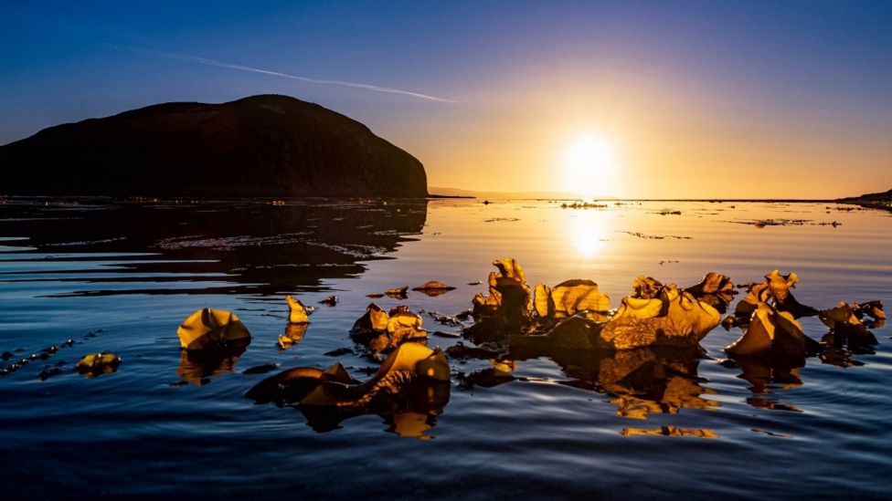 Your pictures of Scotland: 7-14 April - BBC News