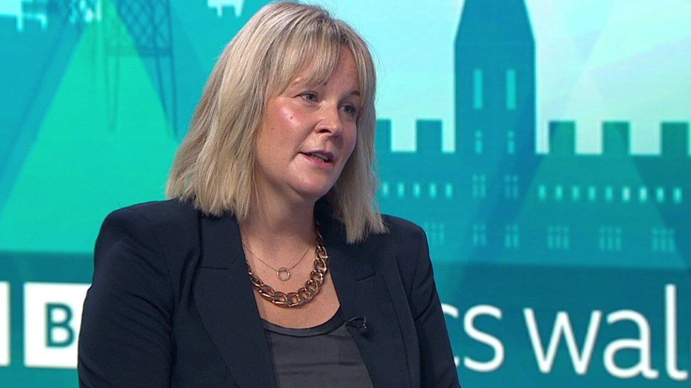 'Dyw system gwynion Senedd Cymru ddim yn ddigon da' - BBC Cymru Fyw