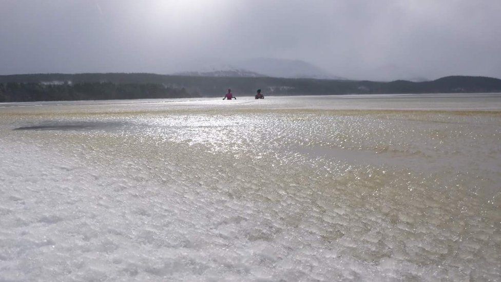 Your pictures of Scotland: 23 February to 2 March - BBC News