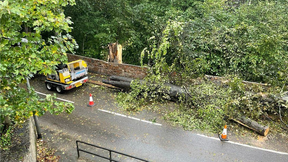 Weather disruption and travel delays as storm hits Jersey - BBC News