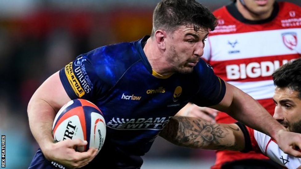 Sam Lewis: Bristol Bears sign former Worcester Warriors flanker - BBC Sport