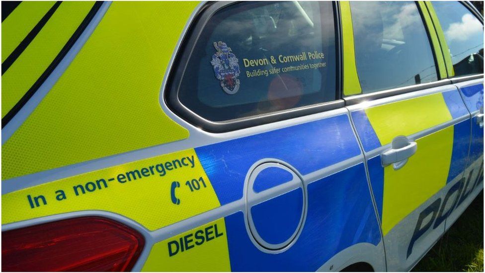 Exeter police appeal for 'Good Samaritan' after woman attacked - BBC News