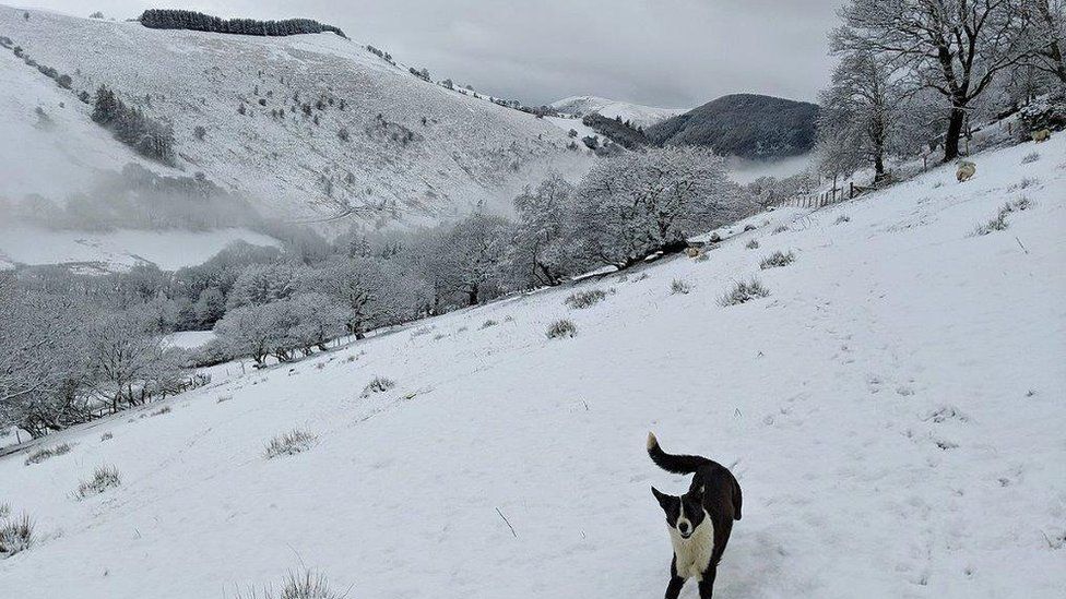 Eira Ebrill: Eich lluniau chi - BBC Cymru Fyw