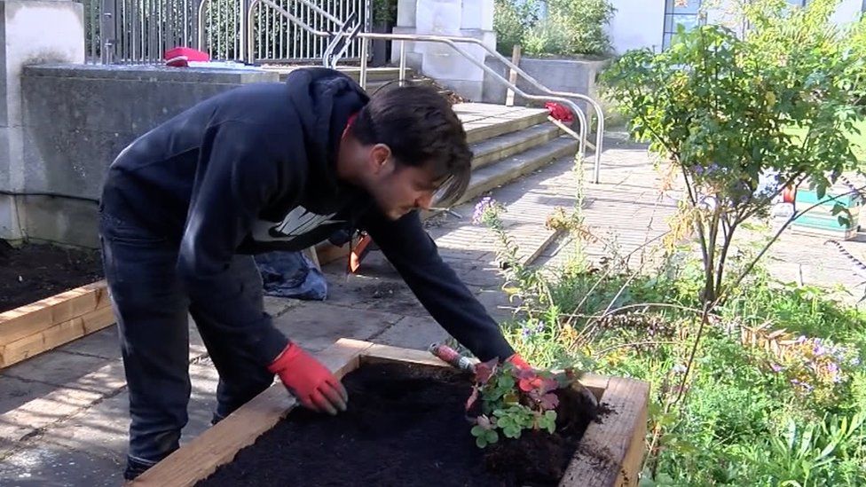 Reading College students grow fruit and vegetables for foodbanks - BBC News