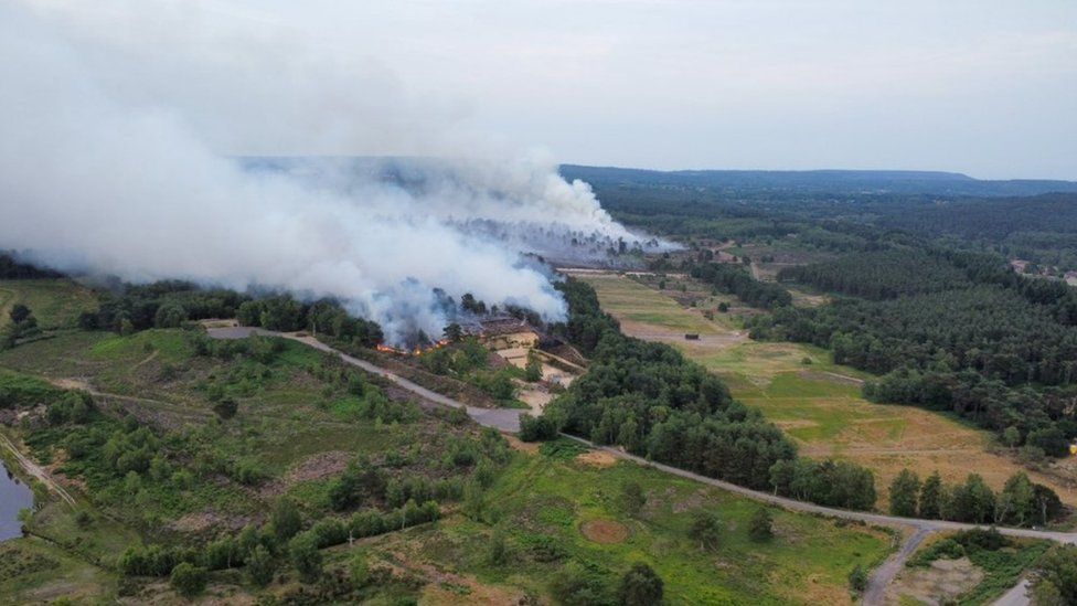 Army explosives training caused forest fire at Hampshire camp, says MoD ...