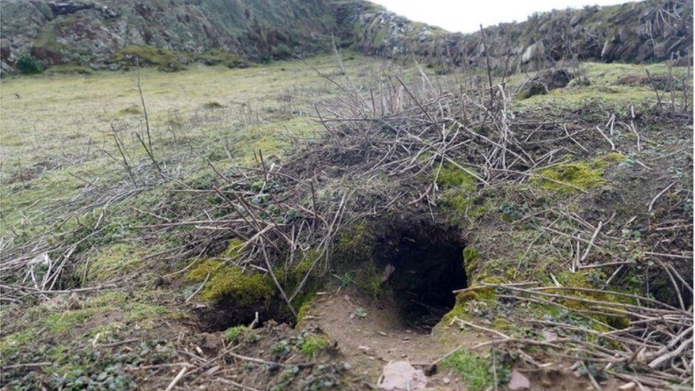 Pembrokeshire: Hundreds of medieval bodies excavated at Whitesands ...
